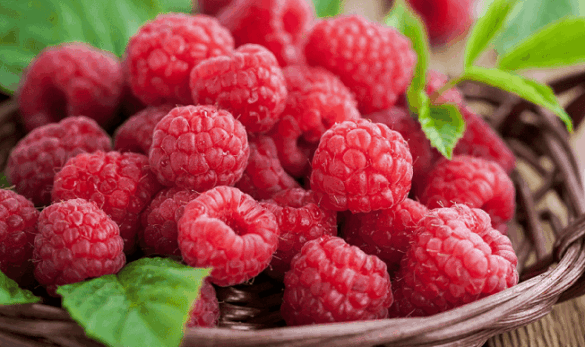 Mjedra – Thesari i kuq i verës me vlera të jashtëzakonshme për ...